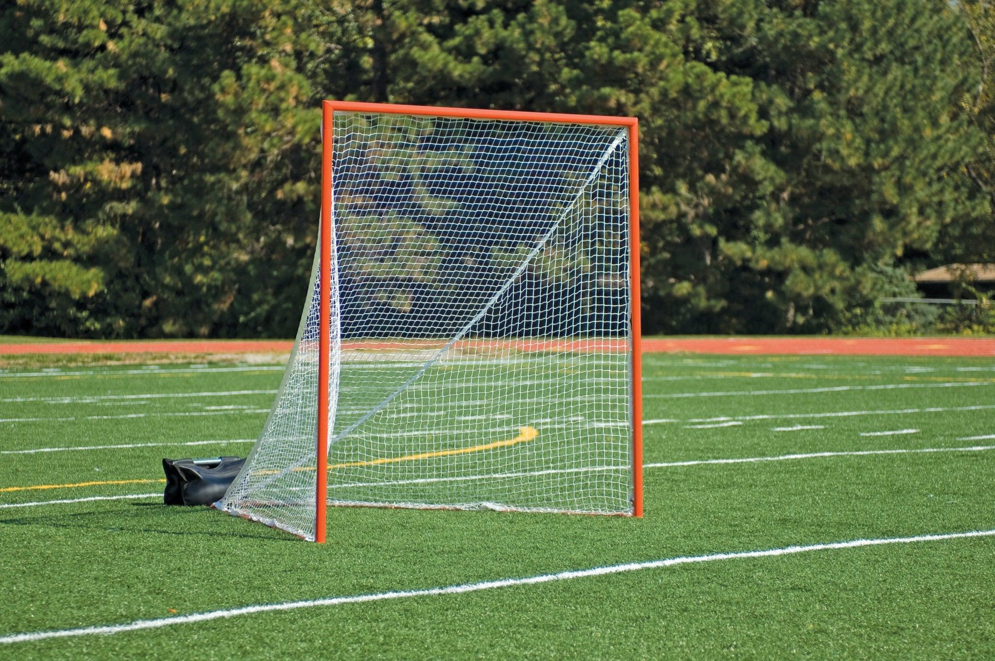 Lacrosse – bisoninc